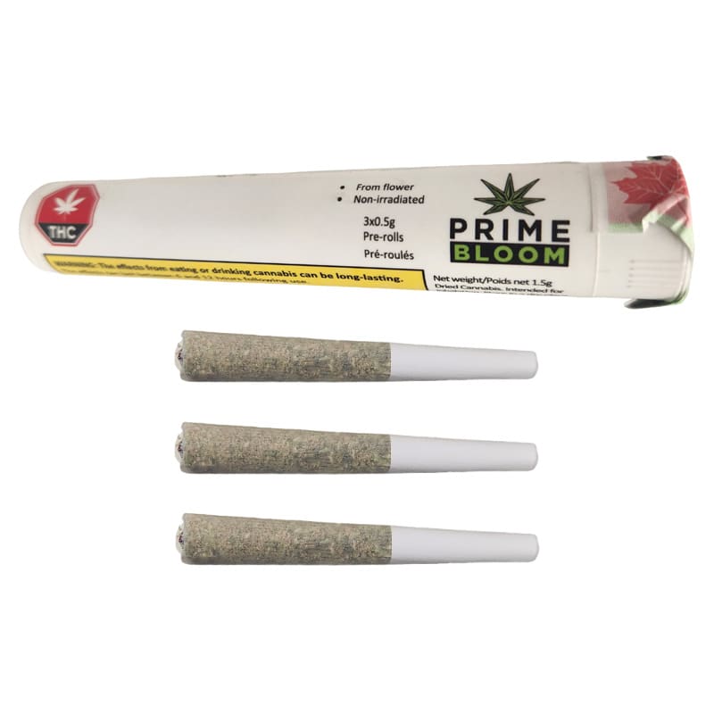 Prime Bloom – Cactus Milk – Pre-Roll – Prairie Cannabis – 8th Street